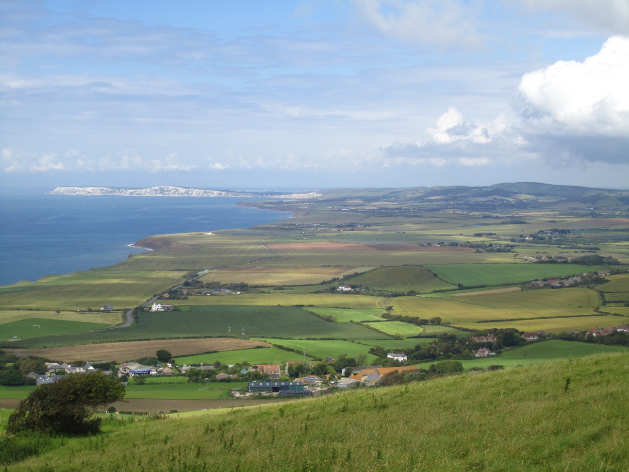 Back of the Wight - Alchetron, The Free Social Encyclopedia